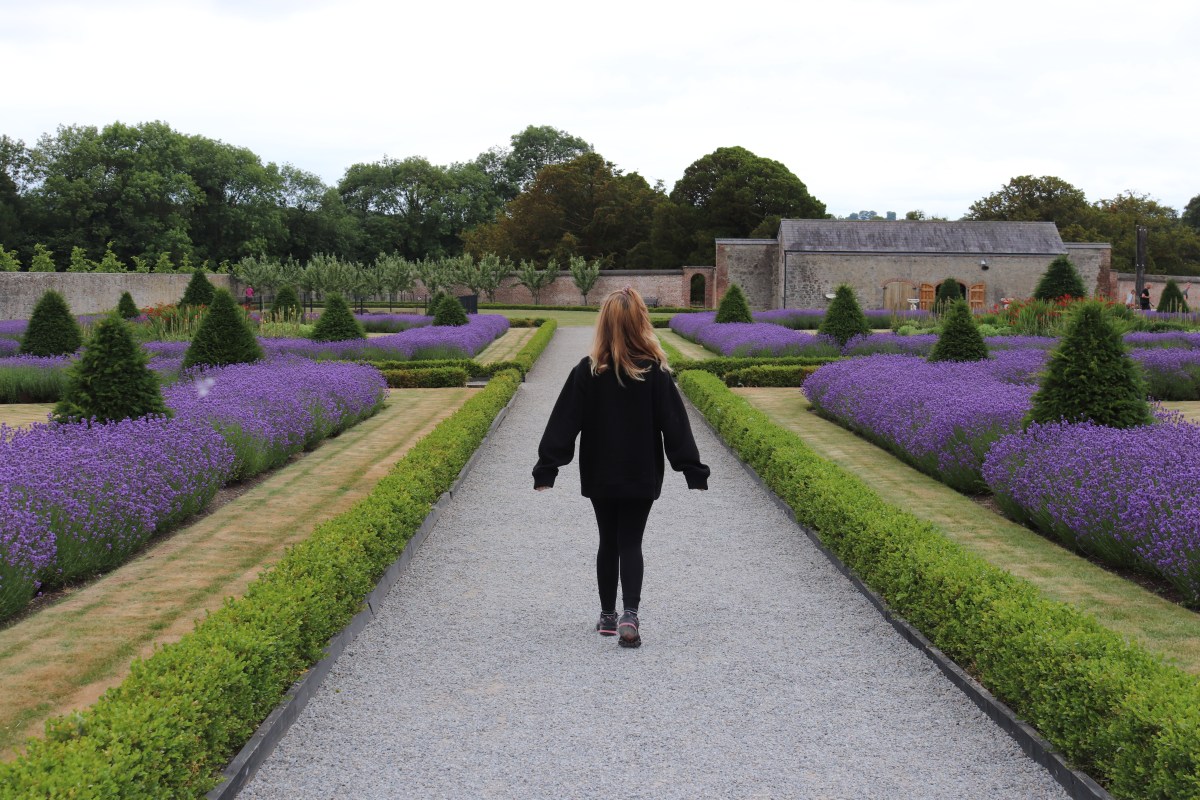 A Second Chance To Make A First Impression – The Neon Squid